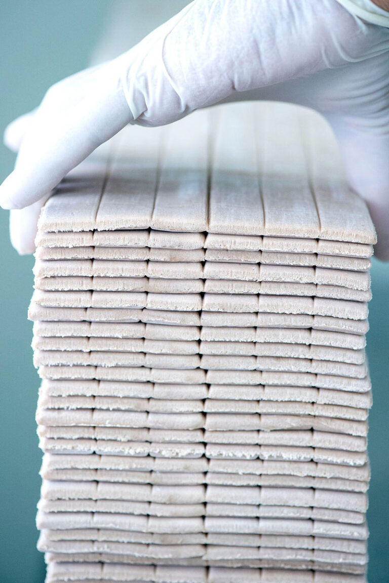 Chicza, chicle natural y sustentable producido en la selva maya - Suum